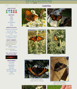 Home - Silver Plains Project