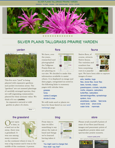 Home - Silver Plains Project